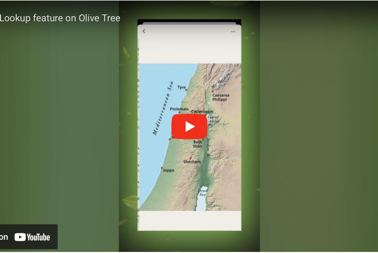 Study Center - Olive Tree Blog
